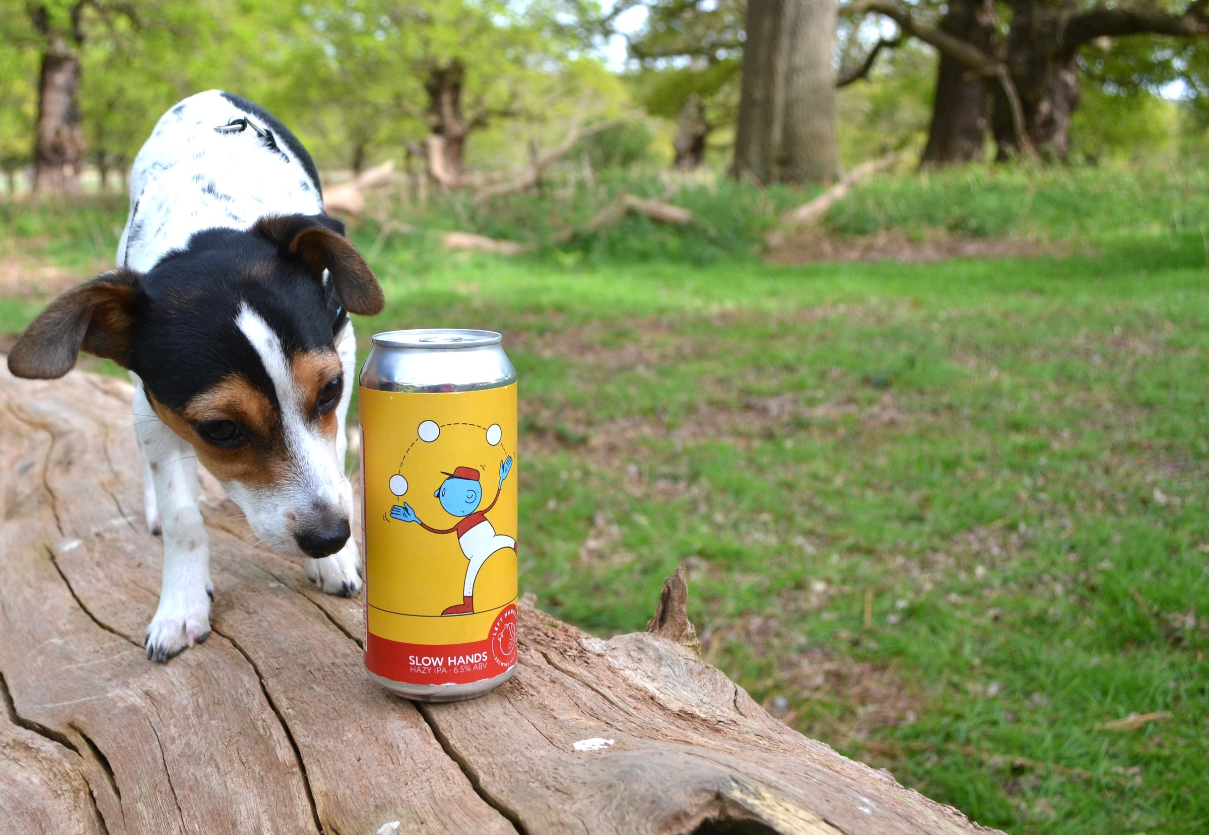 https://tipsydogbottleshop.co.uk/craft-beer-shop-london – Tipsy dog ...