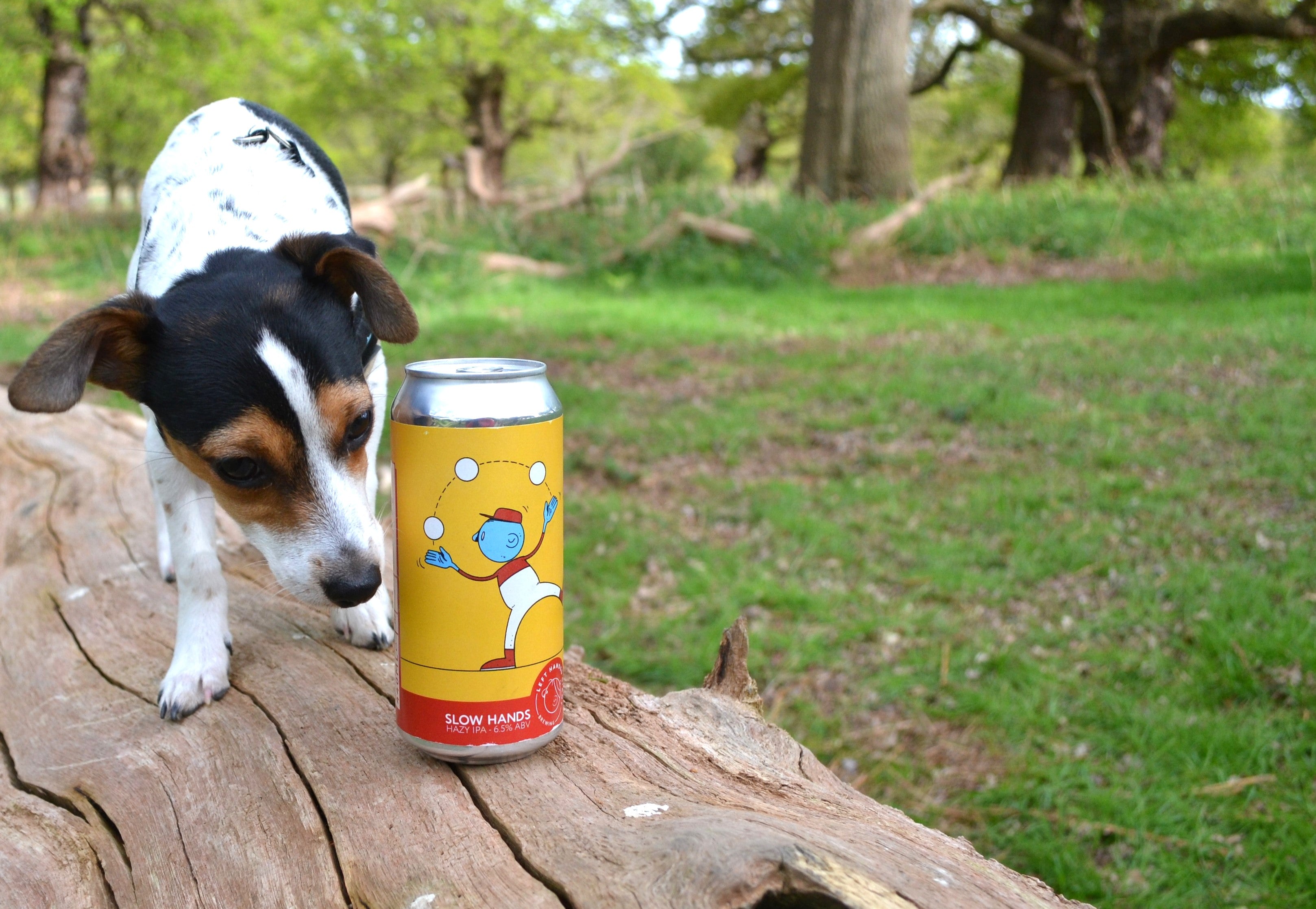 https://tipsydogbottleshop.co.uk/craft-beer-shop-london – Tipsy dog ...